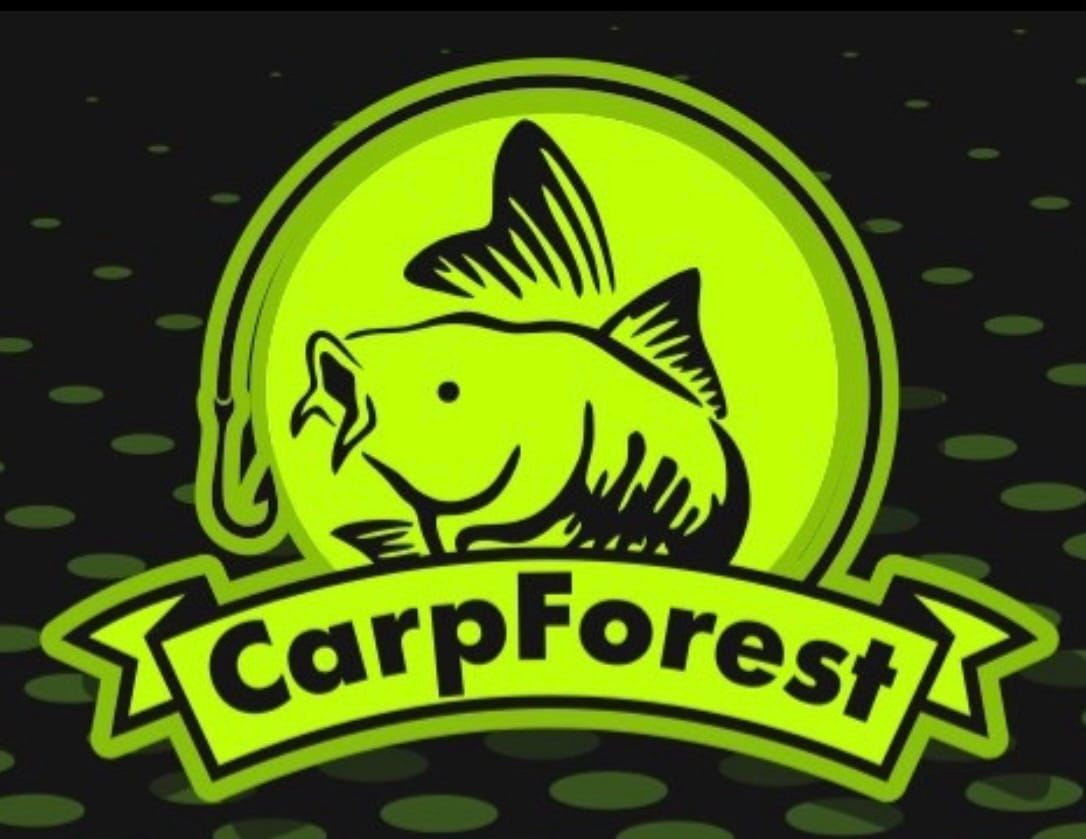 Carp forest – Carp Forest